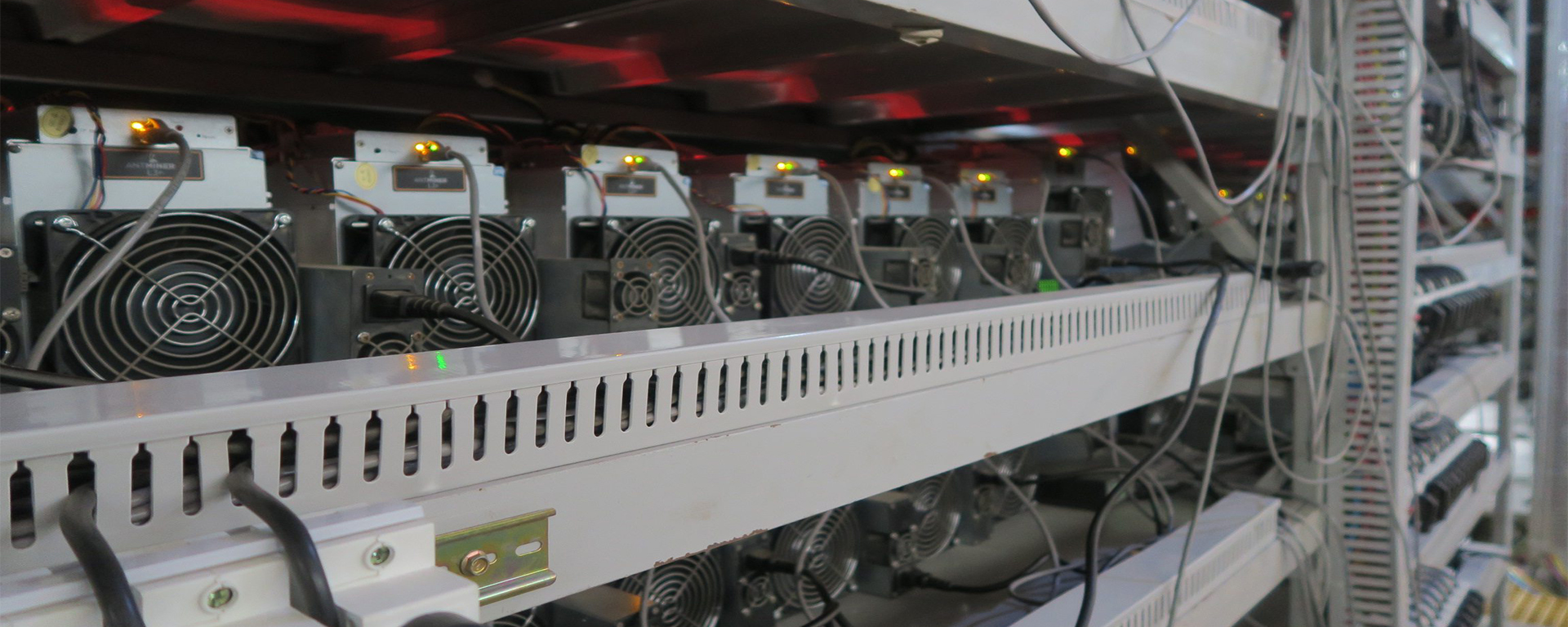 Entenda porque mineradores de criptomoedas investem em contratos ...