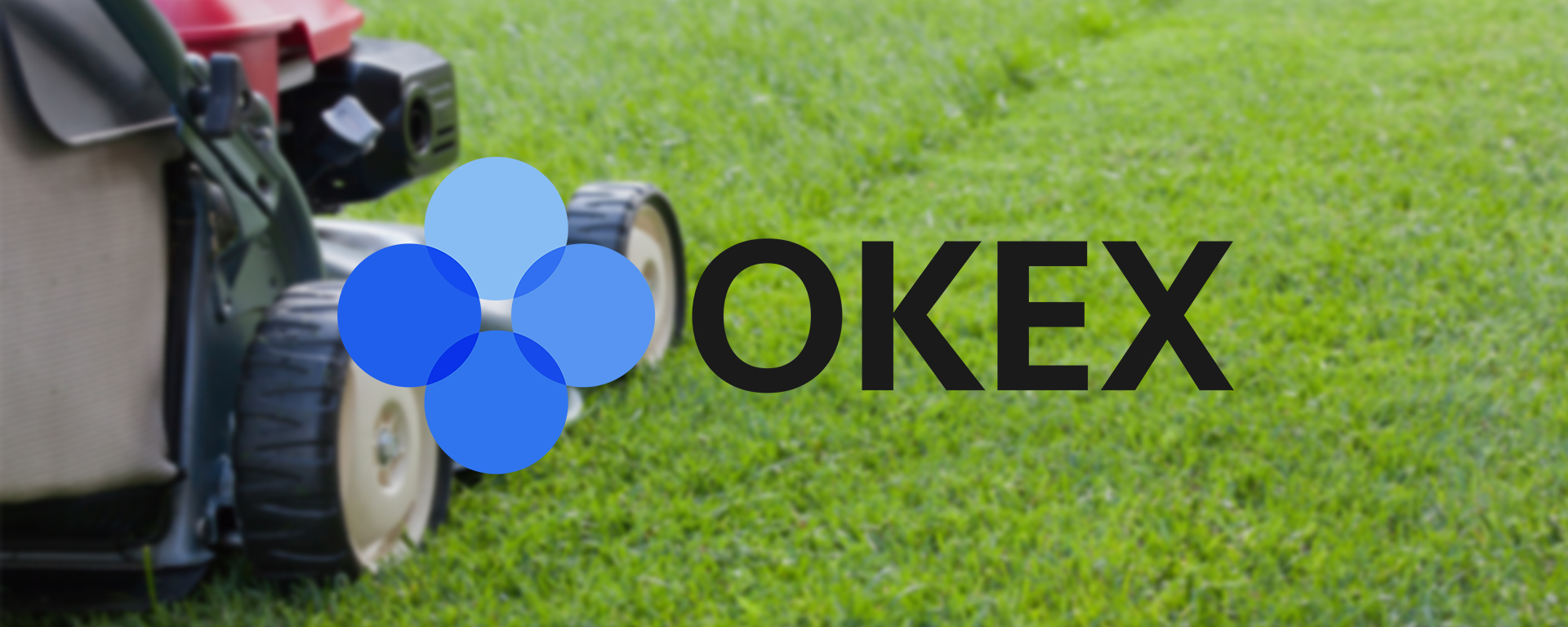 Entenda porque a OKEx utilizou fundos de seus usuários para liquidar um ...