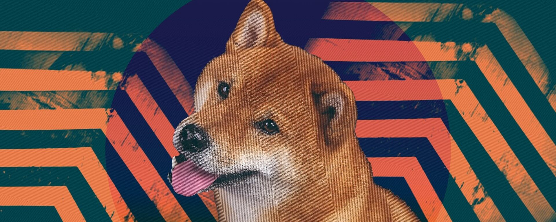 Dogecoin 2.0 (DOGE2) aumenta 300% em um dia, apesar das ameaças da ...