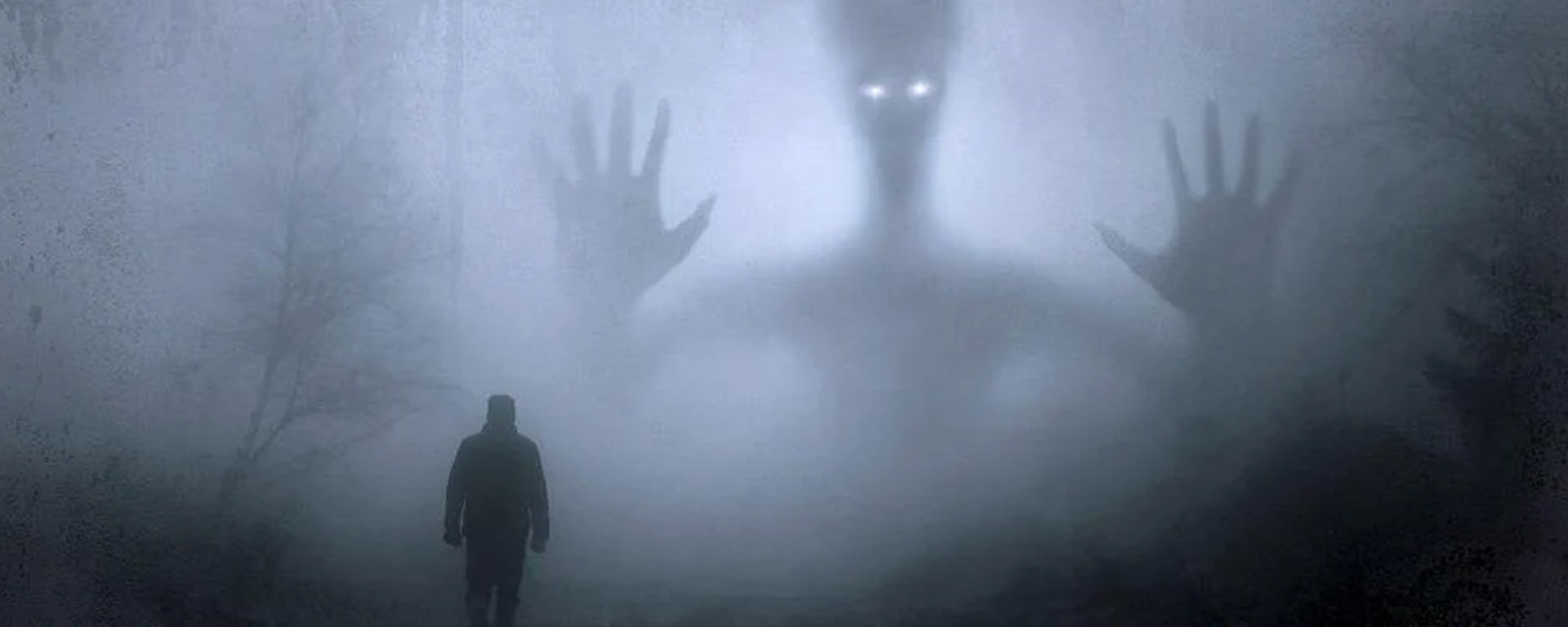 Pânico no mercado cripto 2022 chama atenção de Janet Yellen