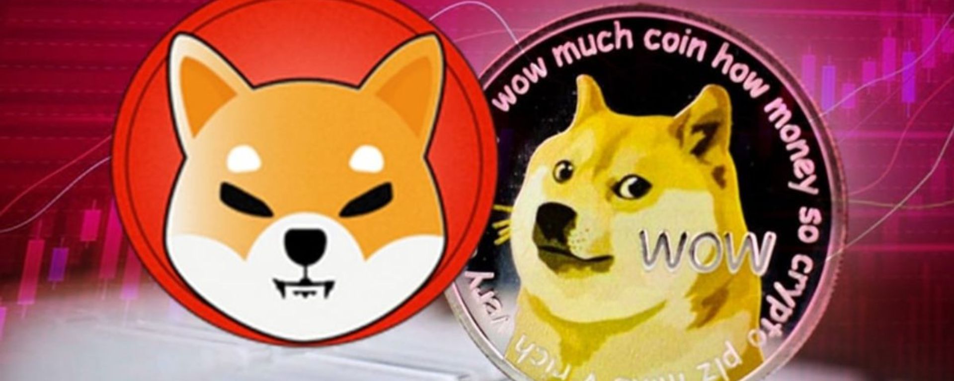 Dogecoin e Shiba Inu na rede da Cardano? - Webitcoin
