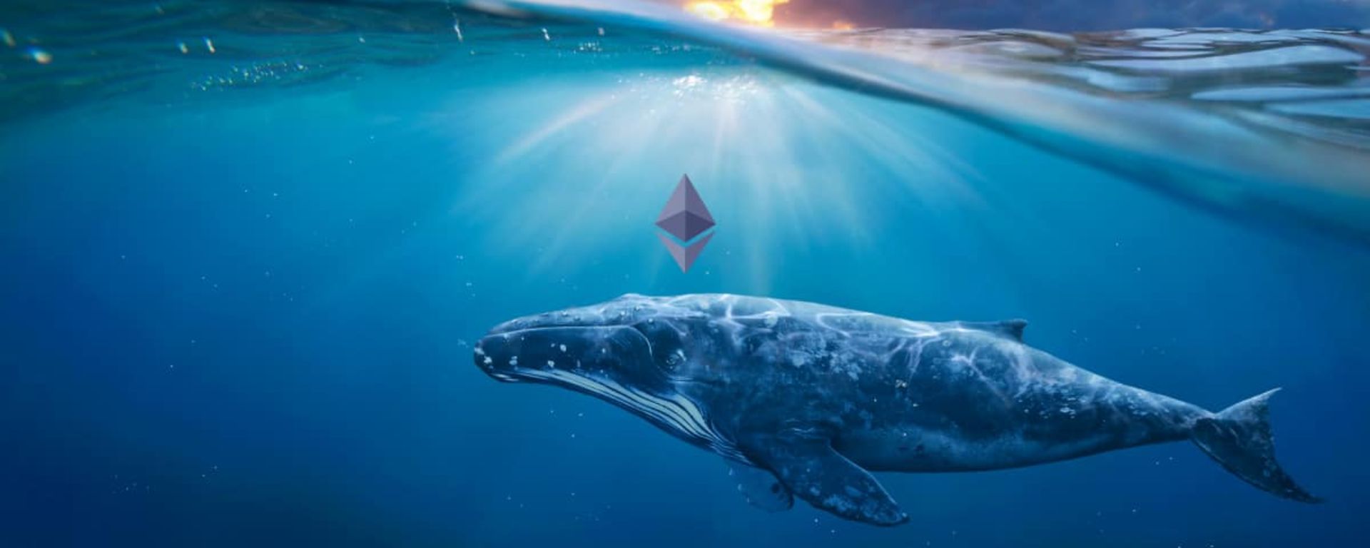 Baleia da Ethereum assume posição longa aguardando aumento de preço ...
